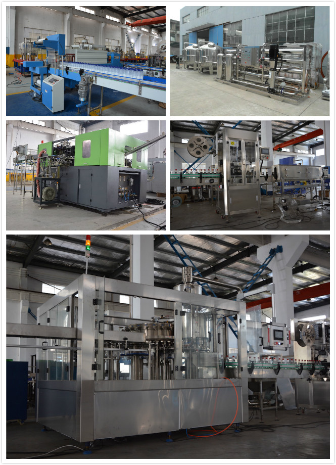 12000BPH Glass Bottle Rotary Liquid Filling Machine